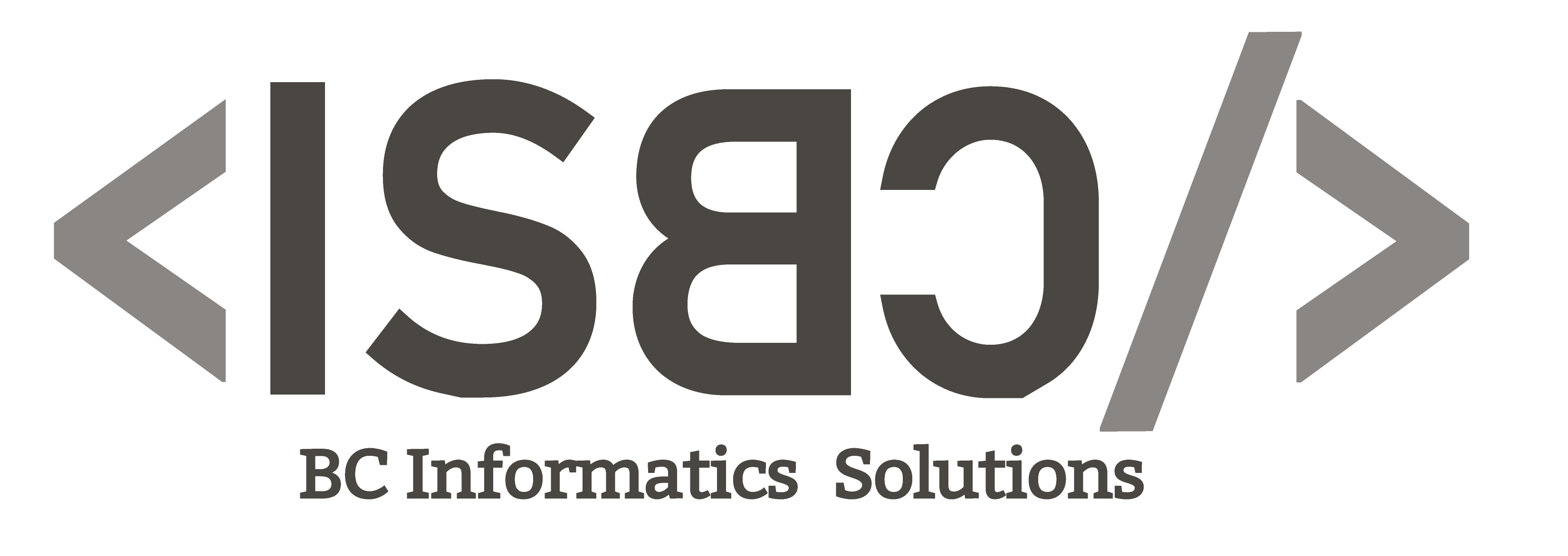 Home [bcinformaticssolutions.online]